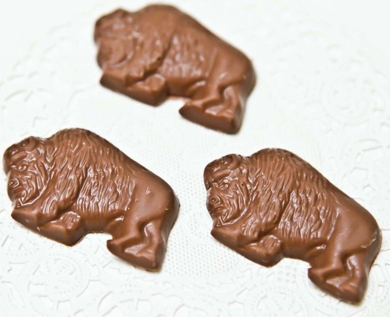 Buffalo Shaped Chocolate Flats | Wahl's Candies